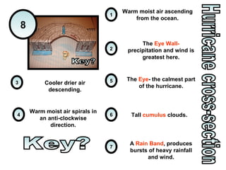 Pop-Up Hurricane Cross-Section | PPT