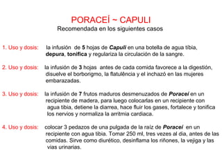 LA FLOR DE PORACEÍ ~ CAPULI | PPT