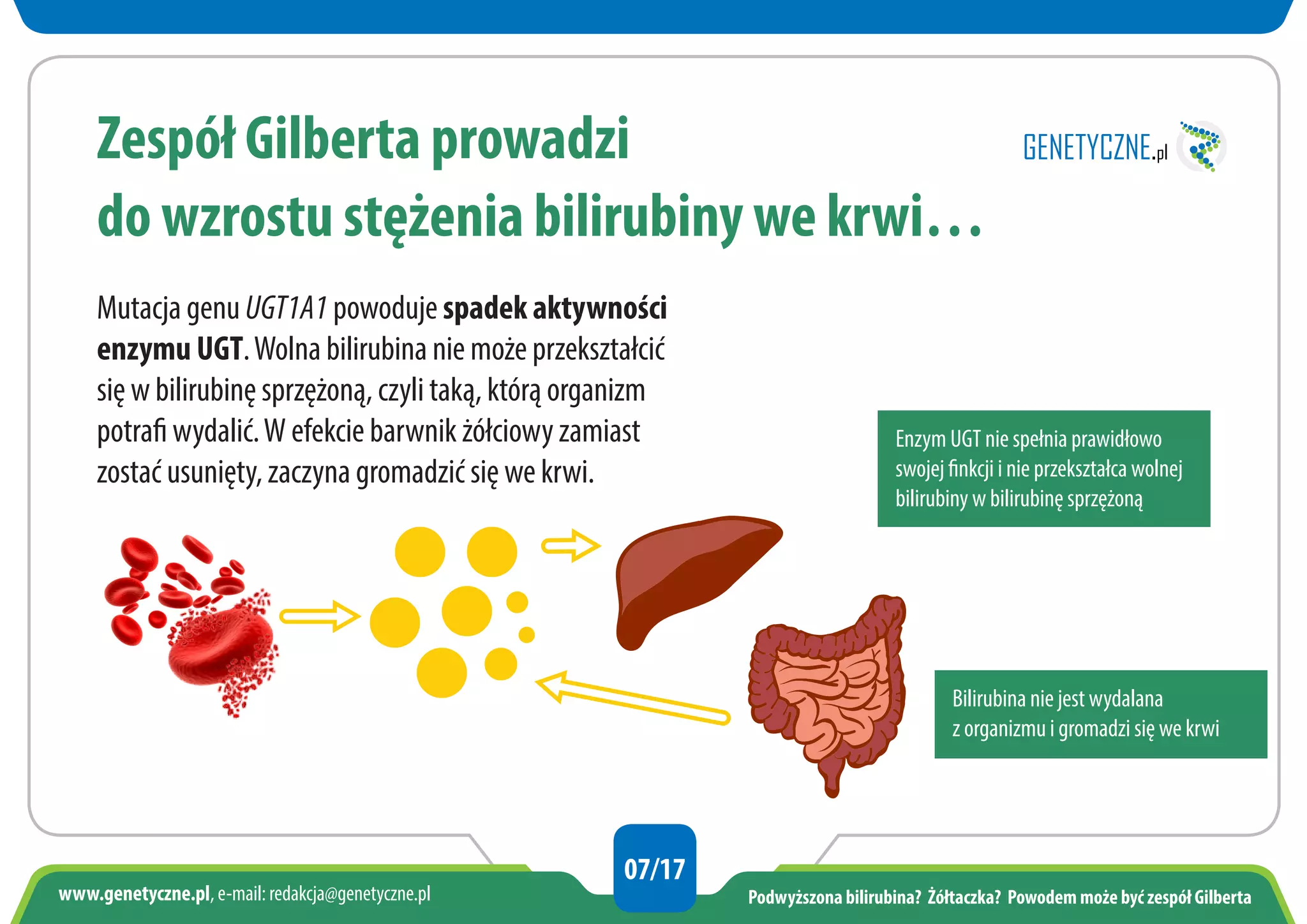 Zespół Gilberta - poradnik | PDF