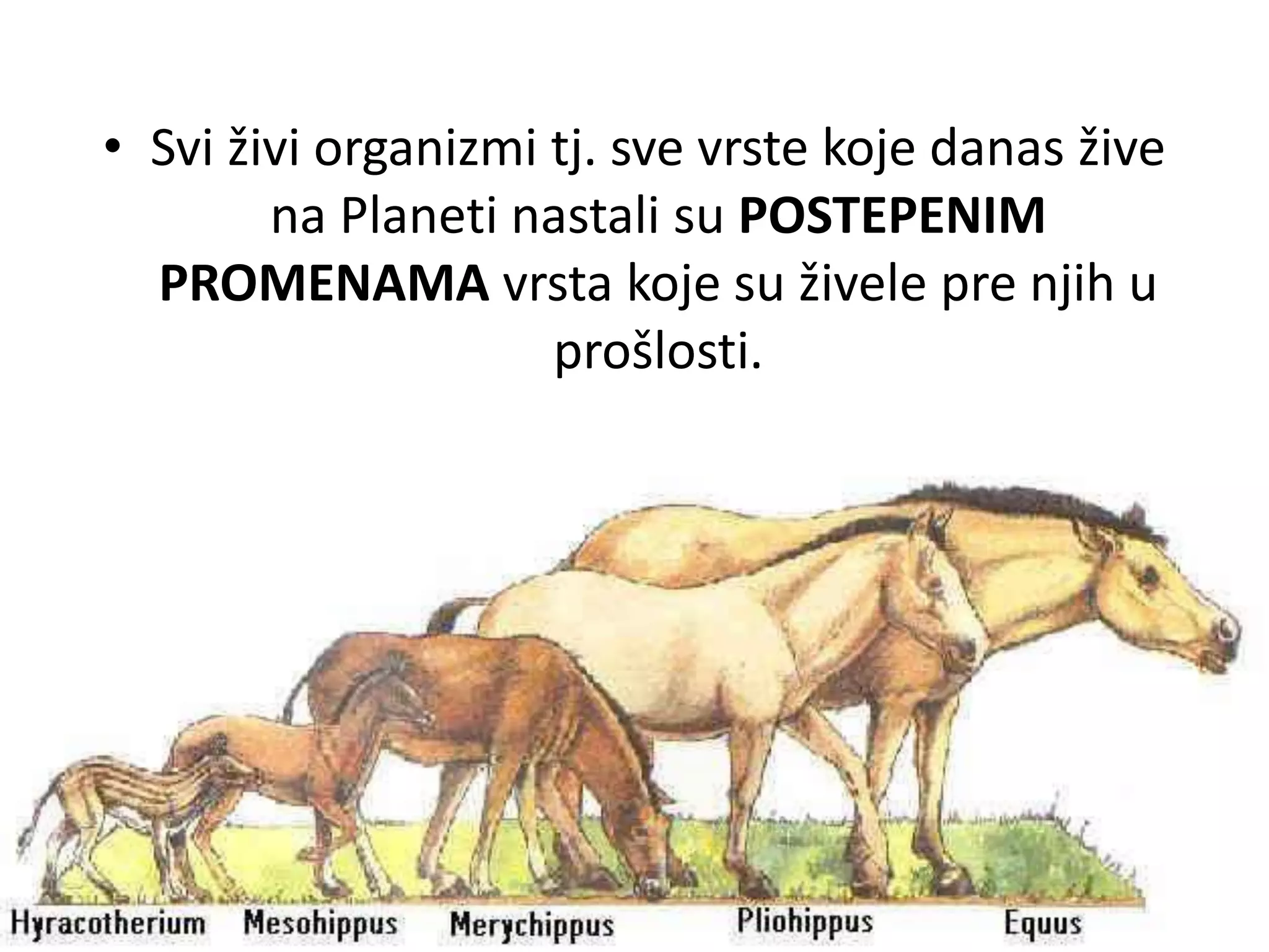 Poreklo zivota na Zemlji. Dokazi evolucije. | PPTX