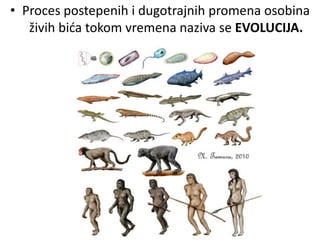 Poreklo zivota na Zemlji. Dokazi evolucije. | PPTX