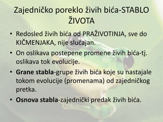 Poreklo zivota na Zemlji. Dokazi evolucije. | PPTX
