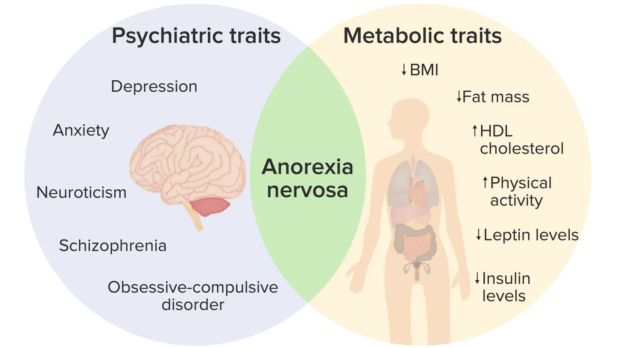 Poremecaji u prehrani eating disorder.pptx