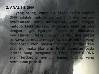 Porensik ppt pelajari | PPTX