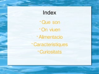 Porífers o esponges | PPT