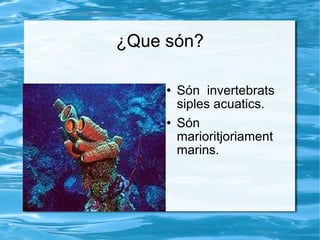 Porífers o esponges | PPT