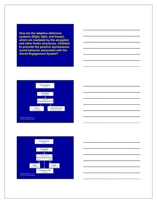 Porges - Polyvagal - Autism - Hakomi Conference Presentation - Brain Behavior handout | PDF