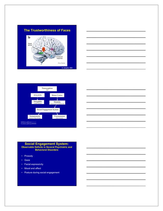 Porges - Polyvagal - Autism - Hakomi Conference Presentation - Brain Behavior handout | PDF