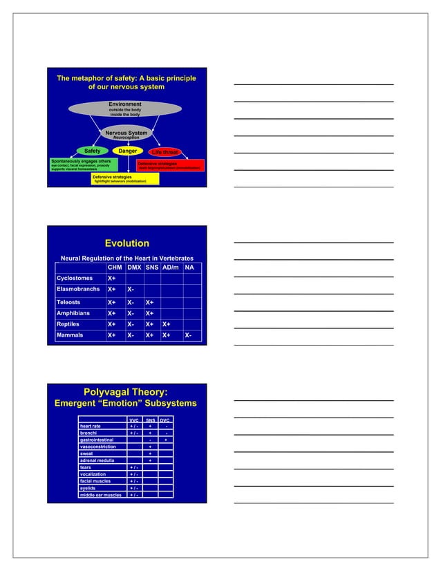 Porges - Polyvagal - Autism - Hakomi Conference Presentation - Brain Behavior handout | PDF