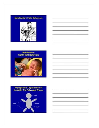 Porges - Polyvagal - Autism - Hakomi Conference Presentation - Brain ...