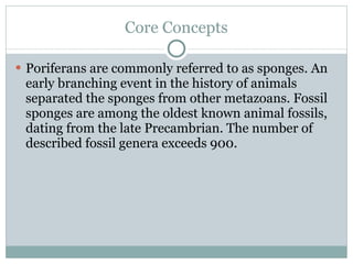 Porifera | PPT