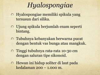 Porifera | PPT