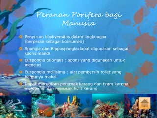 Klasifikasi Porifera kelas X | PPTX