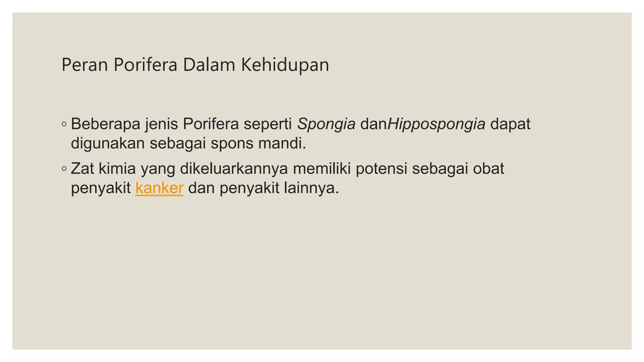 Porifera | PPTX