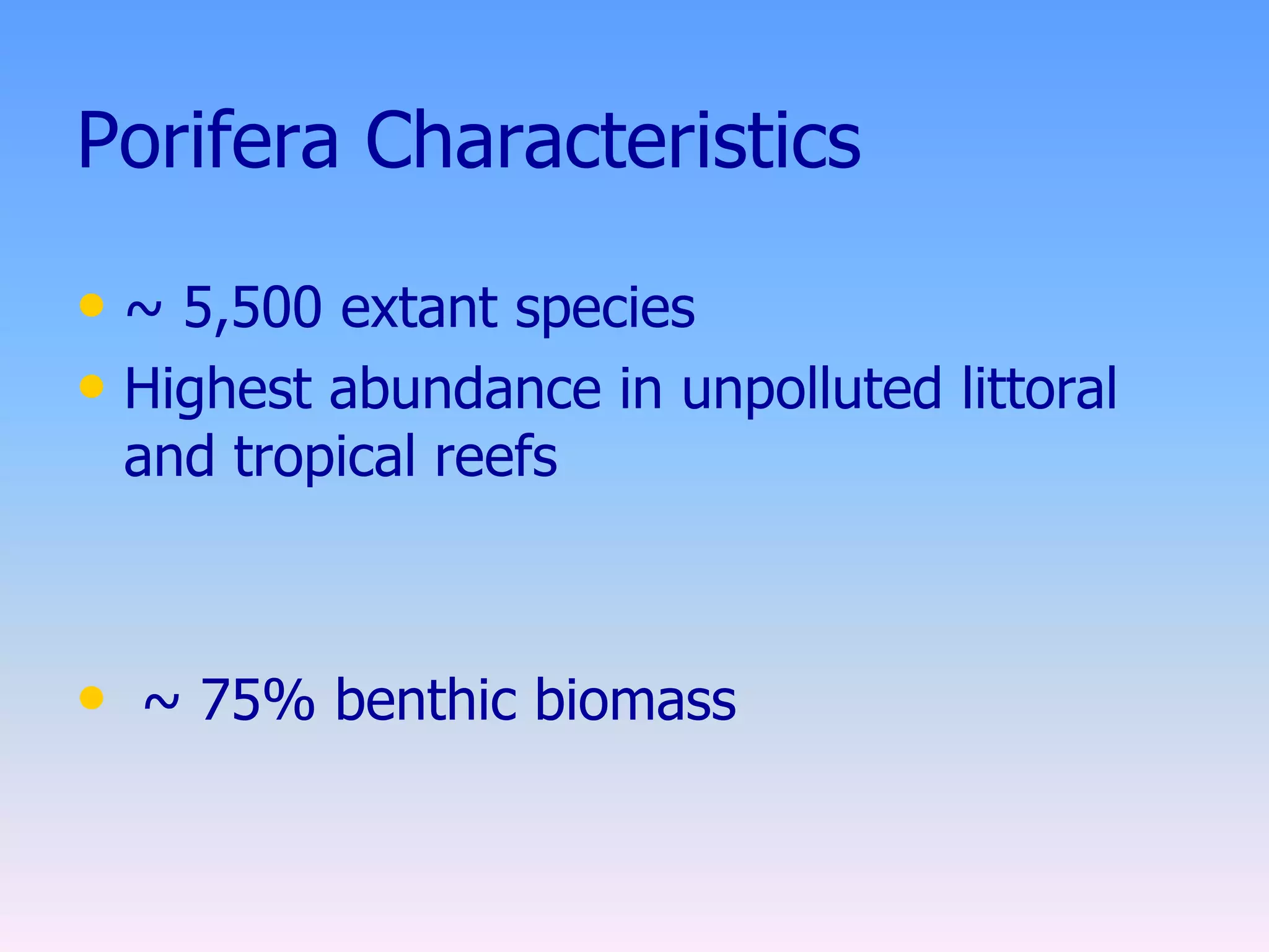 Porifera | PPT