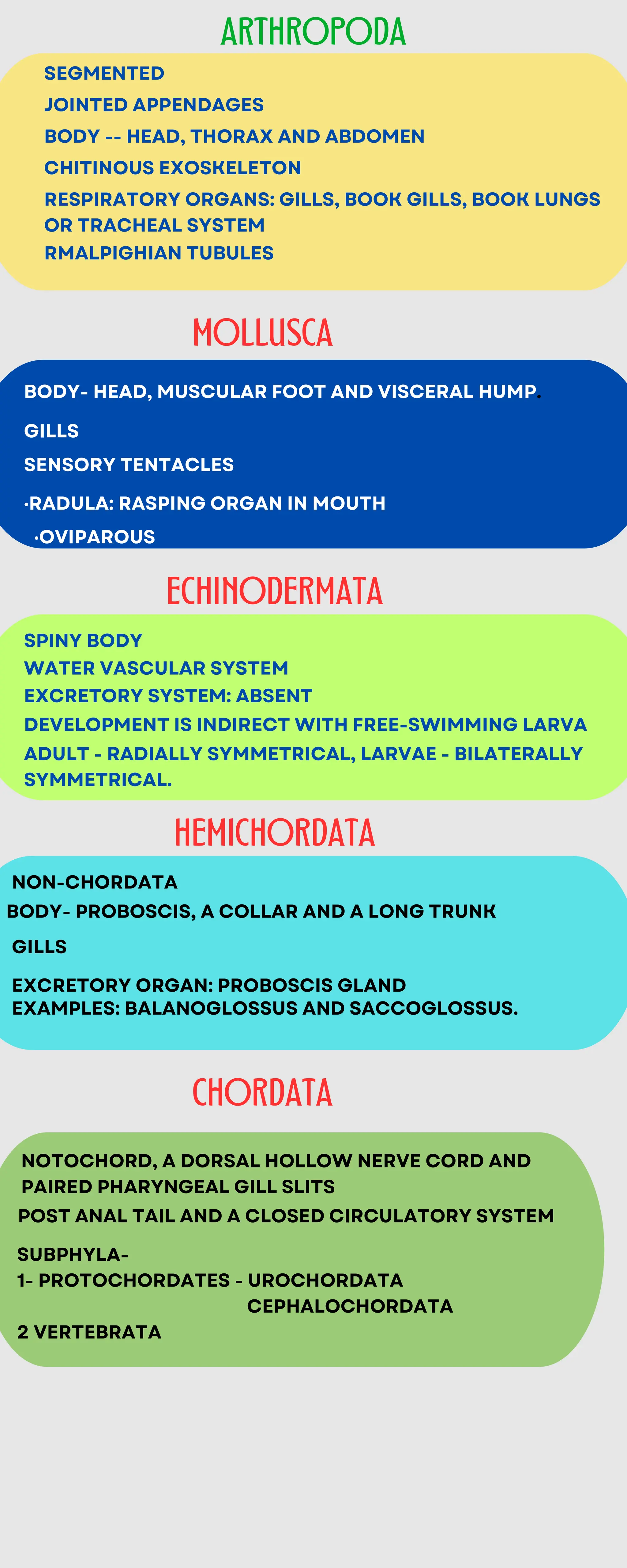 Animal kingdom.pdf. Ingographic presentation | PDF