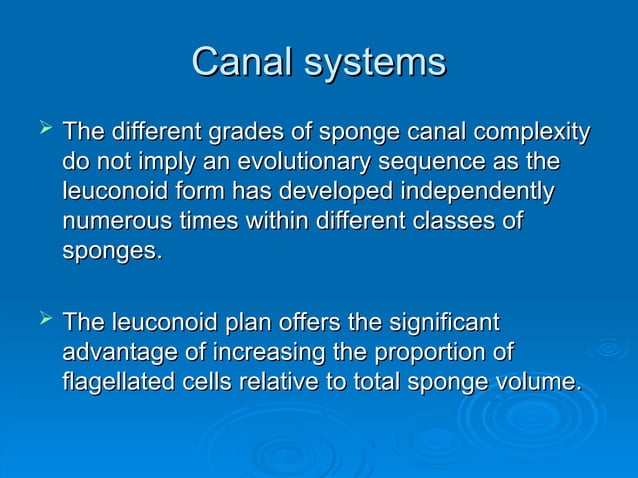 chapter two: phylum Porifera (Sponges).ppt