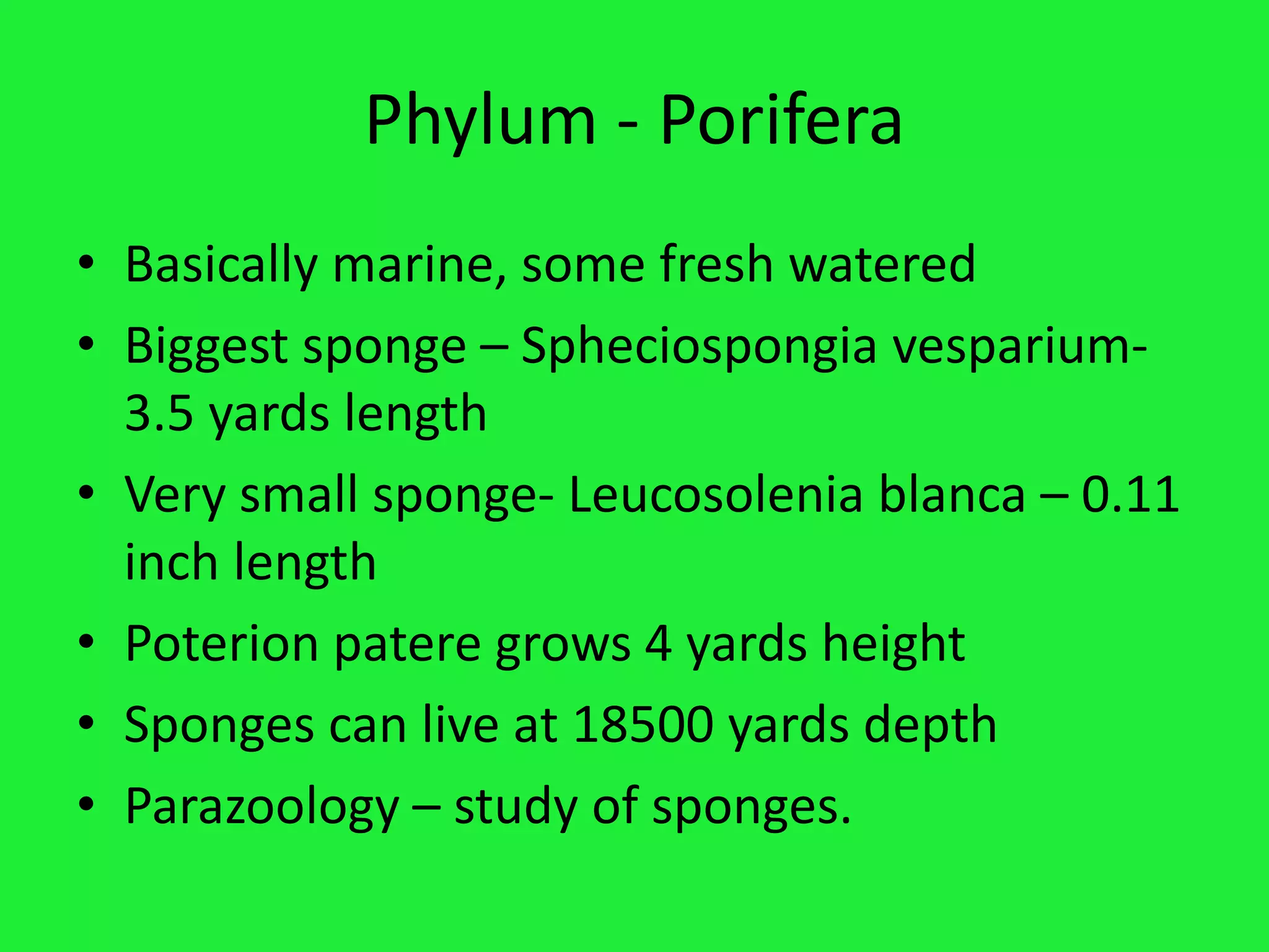 Porifera general characters | PPTX