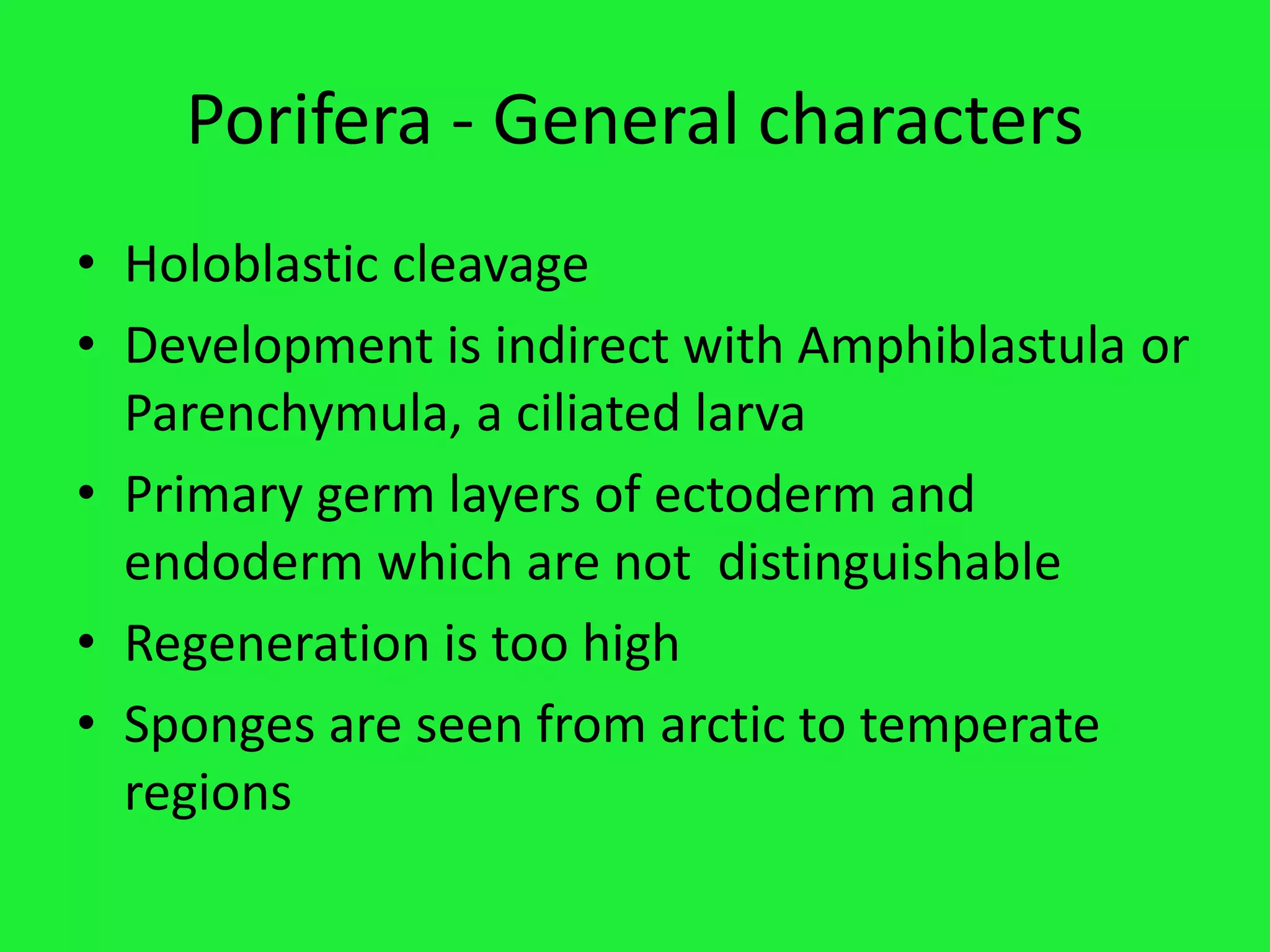 Porifera general characters | PPTX