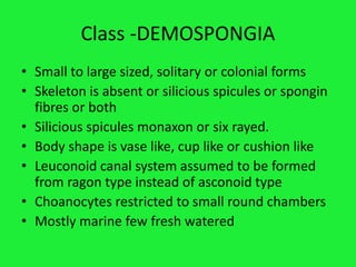 Porifera general characters | PPTX