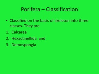 Porifera general characters | PPTX