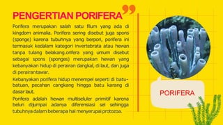 porifera (1).pptx