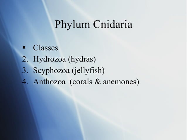 Porifera%20and%20cnidaria%202010 | PPT
