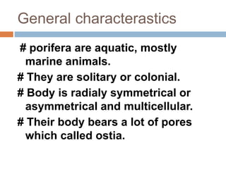 Clear concept Of porifera phylum | PPTX | Geography | Science