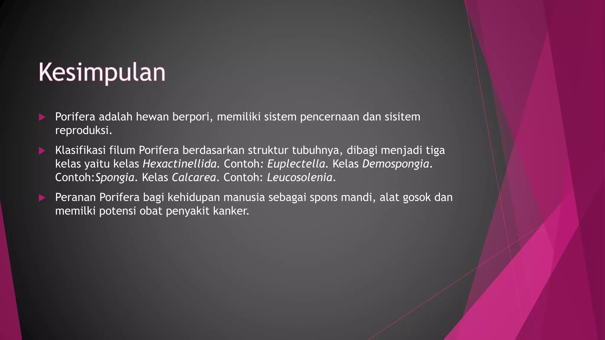filum Porifera | PPTX