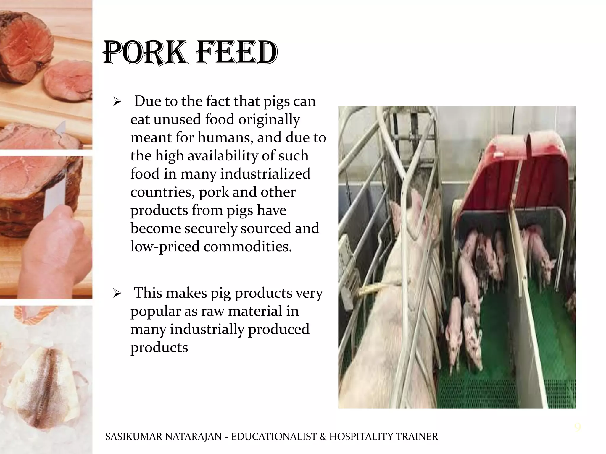 Pork | PDF