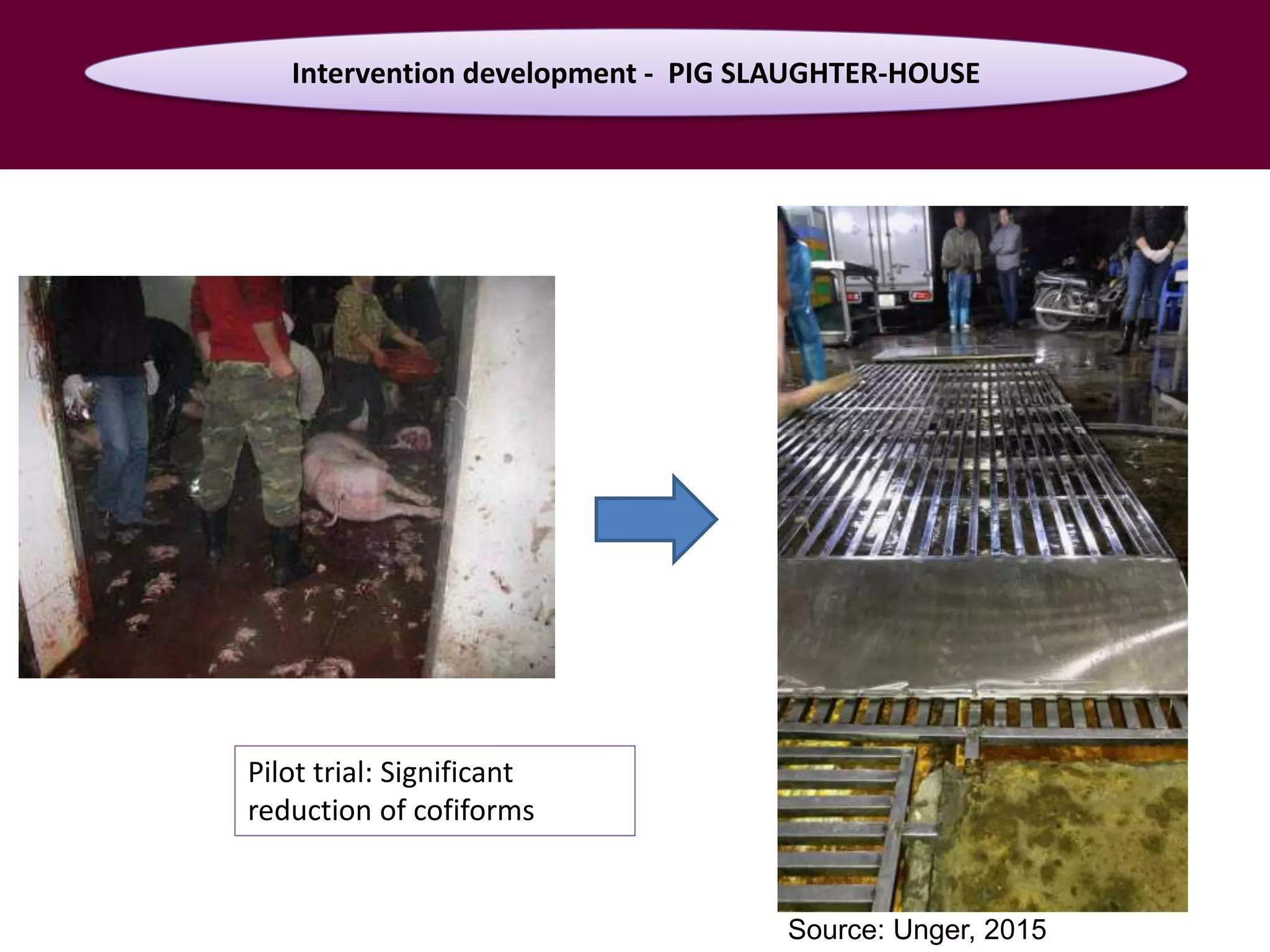 Food safety along informal pork value chains in Vietnam: Success and ...