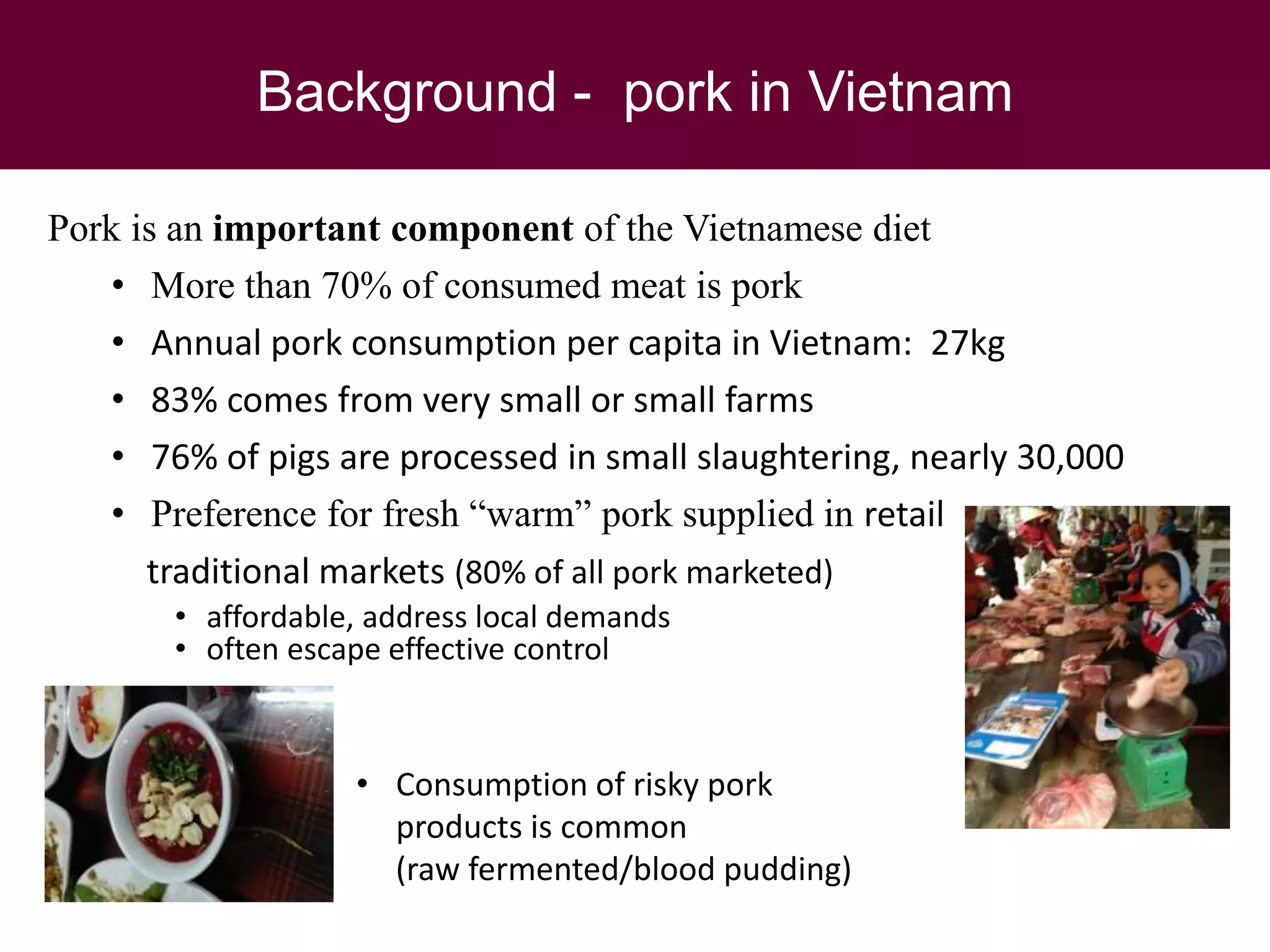 Food safety along informal pork value chains in Vietnam: Success and ...
