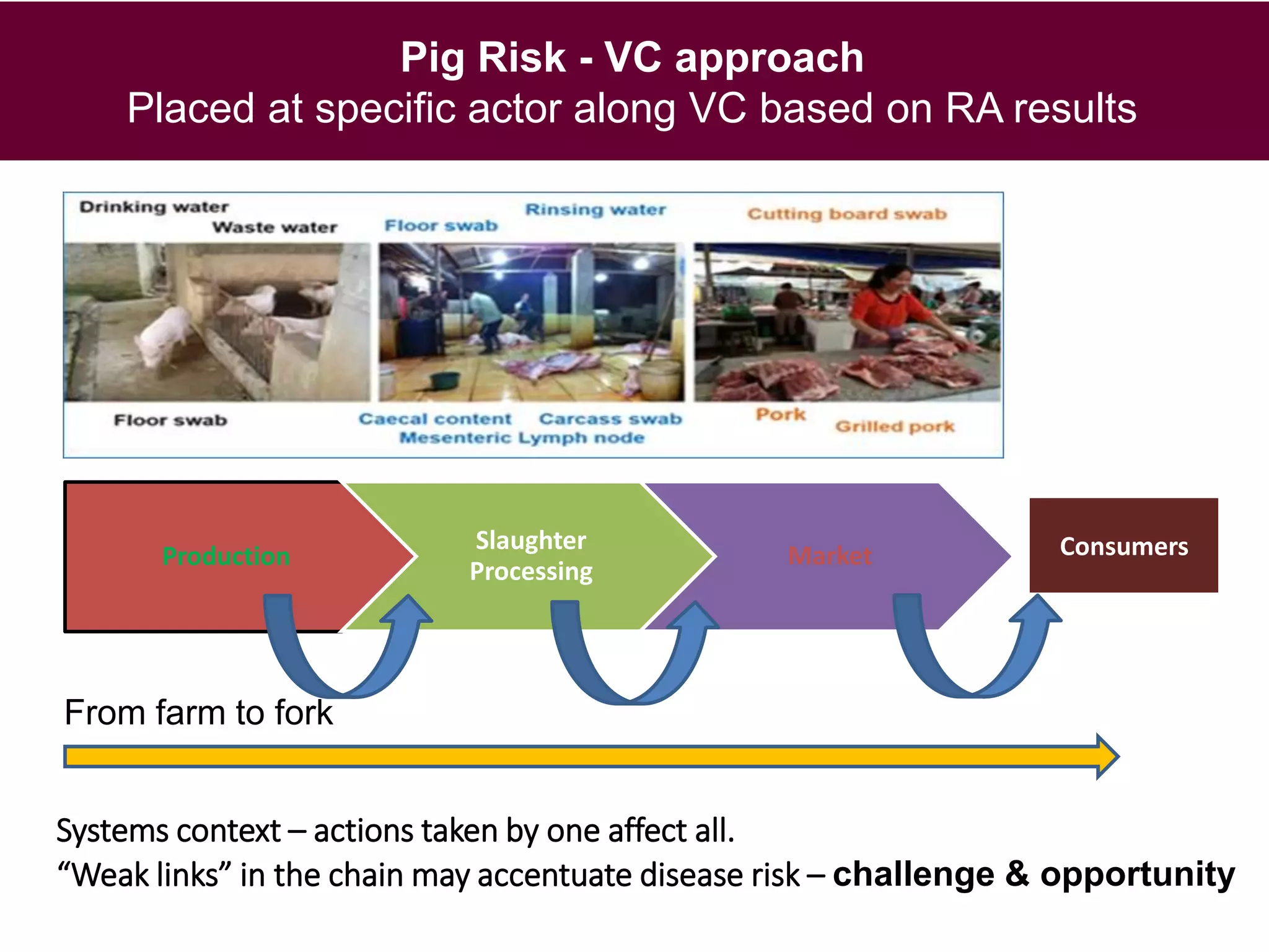 Food safety along informal pork value chains in Vietnam: Success and ...