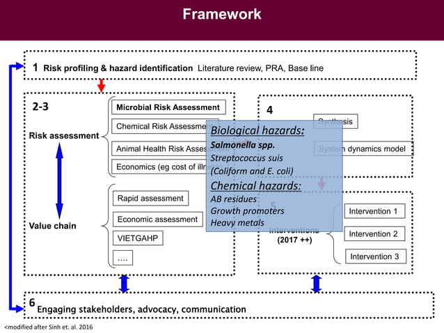 Food safety along informal pork value chains in Vietnam: Success and ...