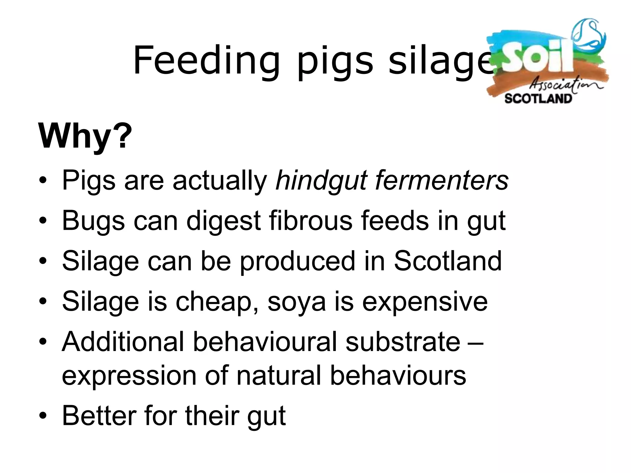 Presentation: Feeding Silage to Pigs | PPT