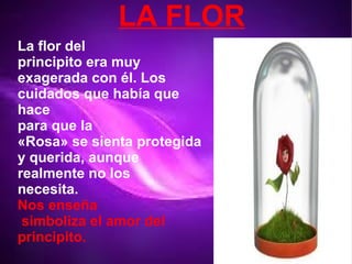 Por lorena saint exupery y del principito | ODP