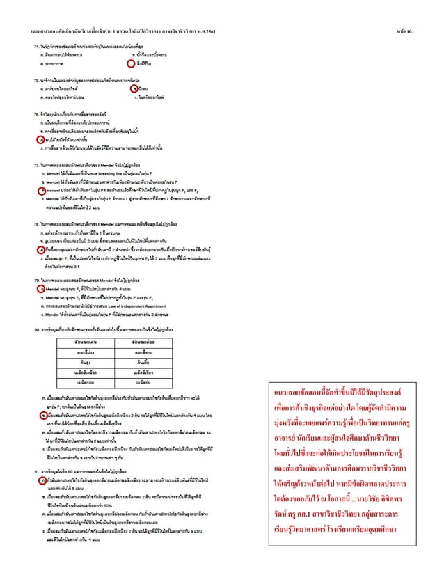 Porns biology 2561 | PDF