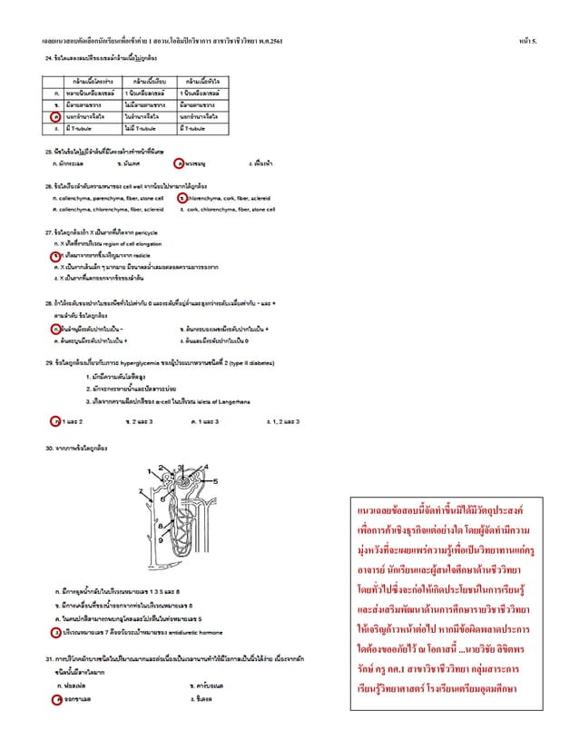 Porns biology 2561 | PDF