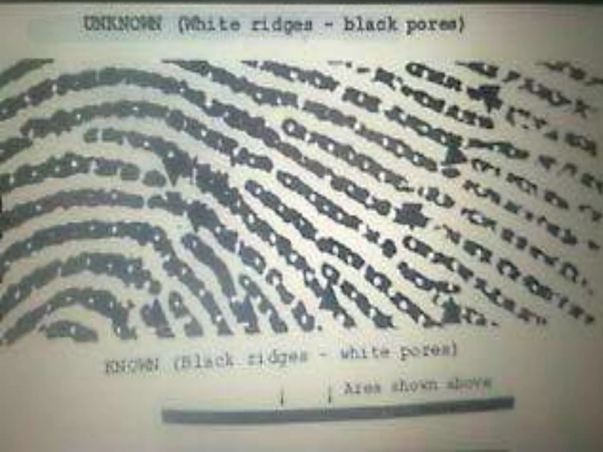 Poroscopy and edgeoscopy | PPTX