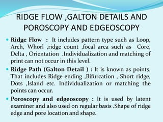 Poroscopy and edgeoscopy | PPTX