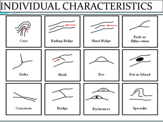 Poroscopy and edgeoscopy | PPTX