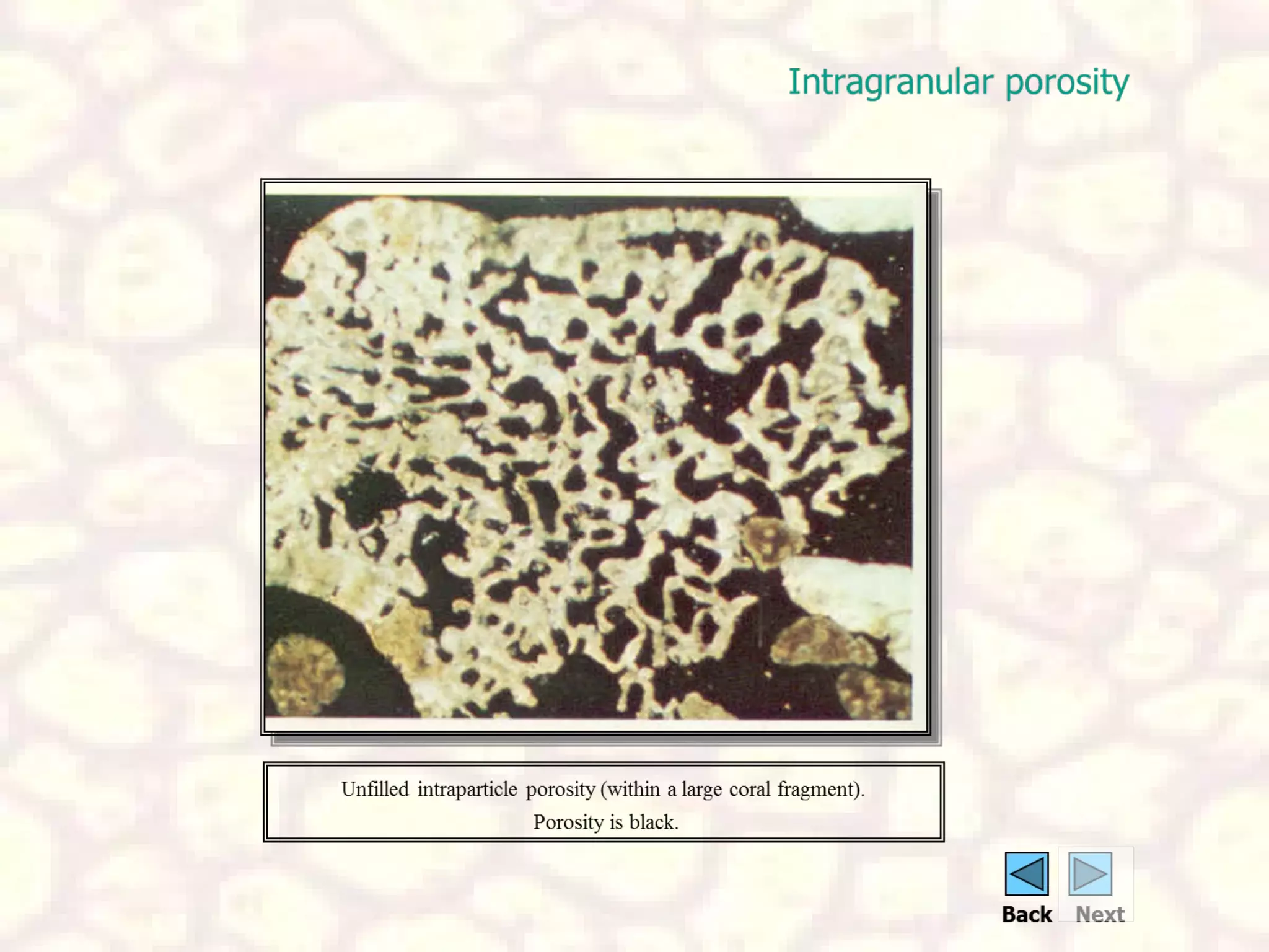 Porosity and permeability | PPT