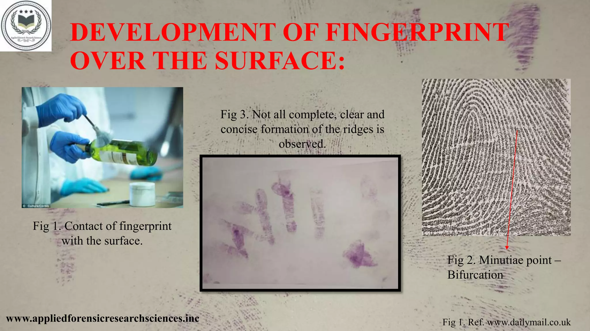 porous and non-porous surface | PPTX