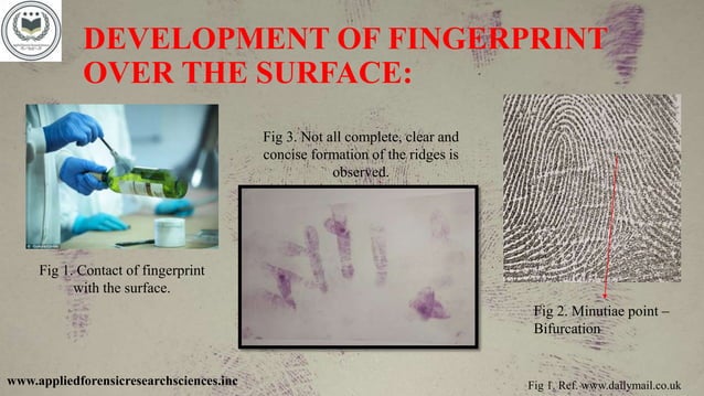 porous and non-porous surface | PPTX | Chemistry | Science