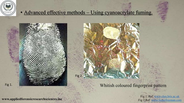 porous and non-porous surface | PPTX | Chemistry | Science