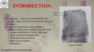 porous and non-porous surface | PPT