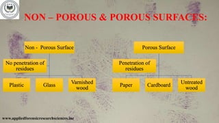 porous and non-porous surface | PPT