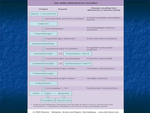 Porphyria | PPT