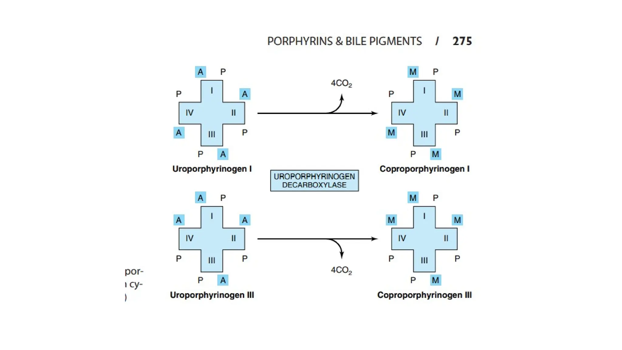 porphyria - Different types, clinical diagnosis | PPTX