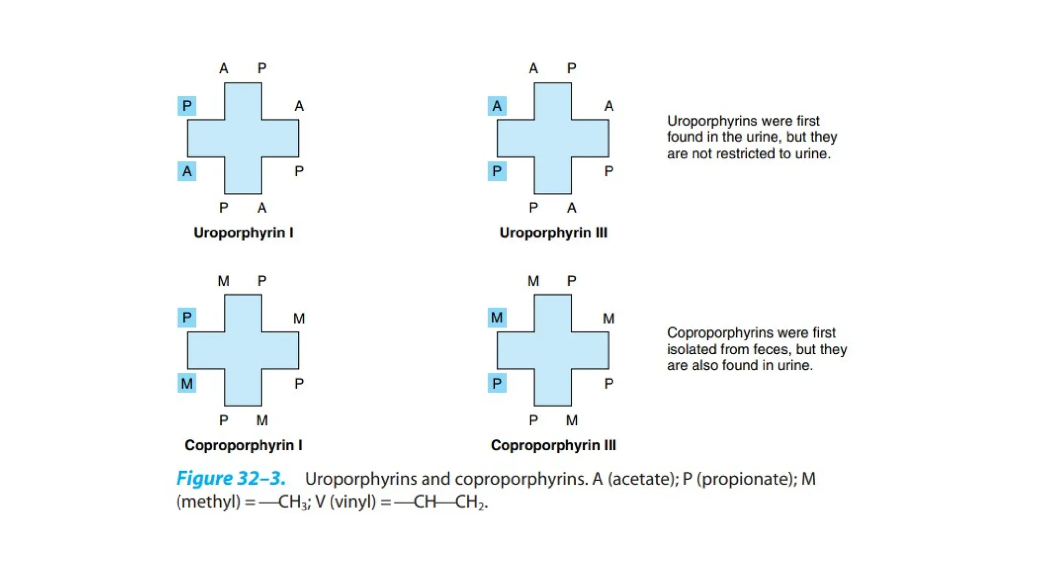 porphyria - Different types, clinical diagnosis | PPT
